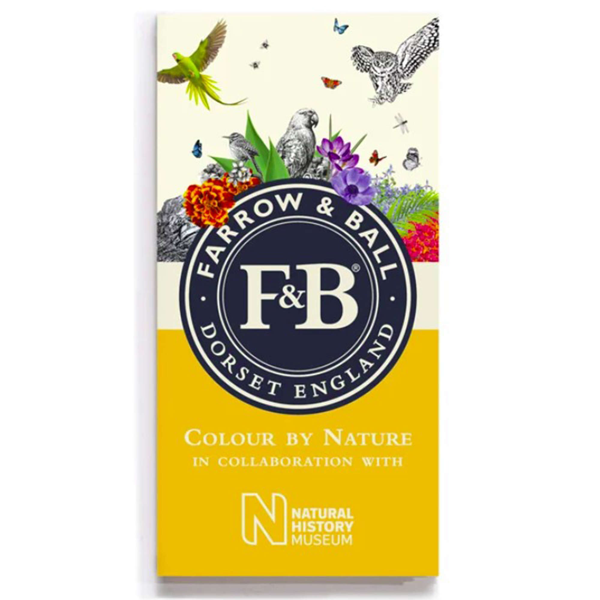 Order Free Colour Cards - Paint Direct